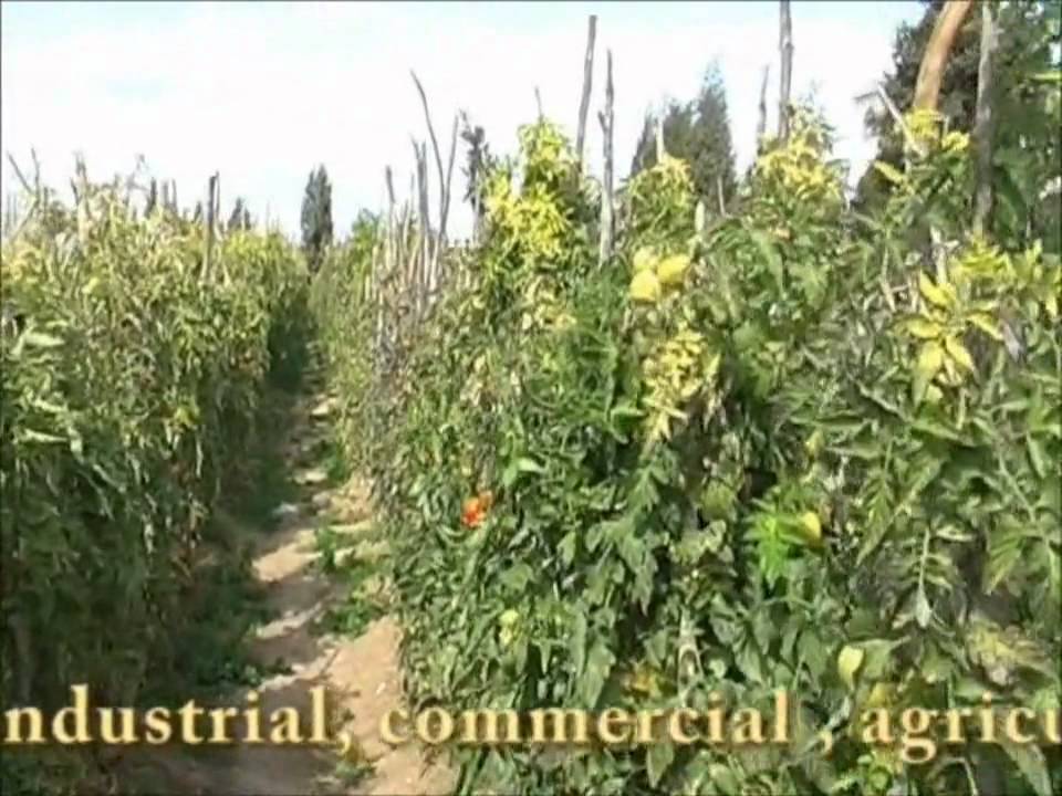 Teboulba, the beautiful city - YouTube