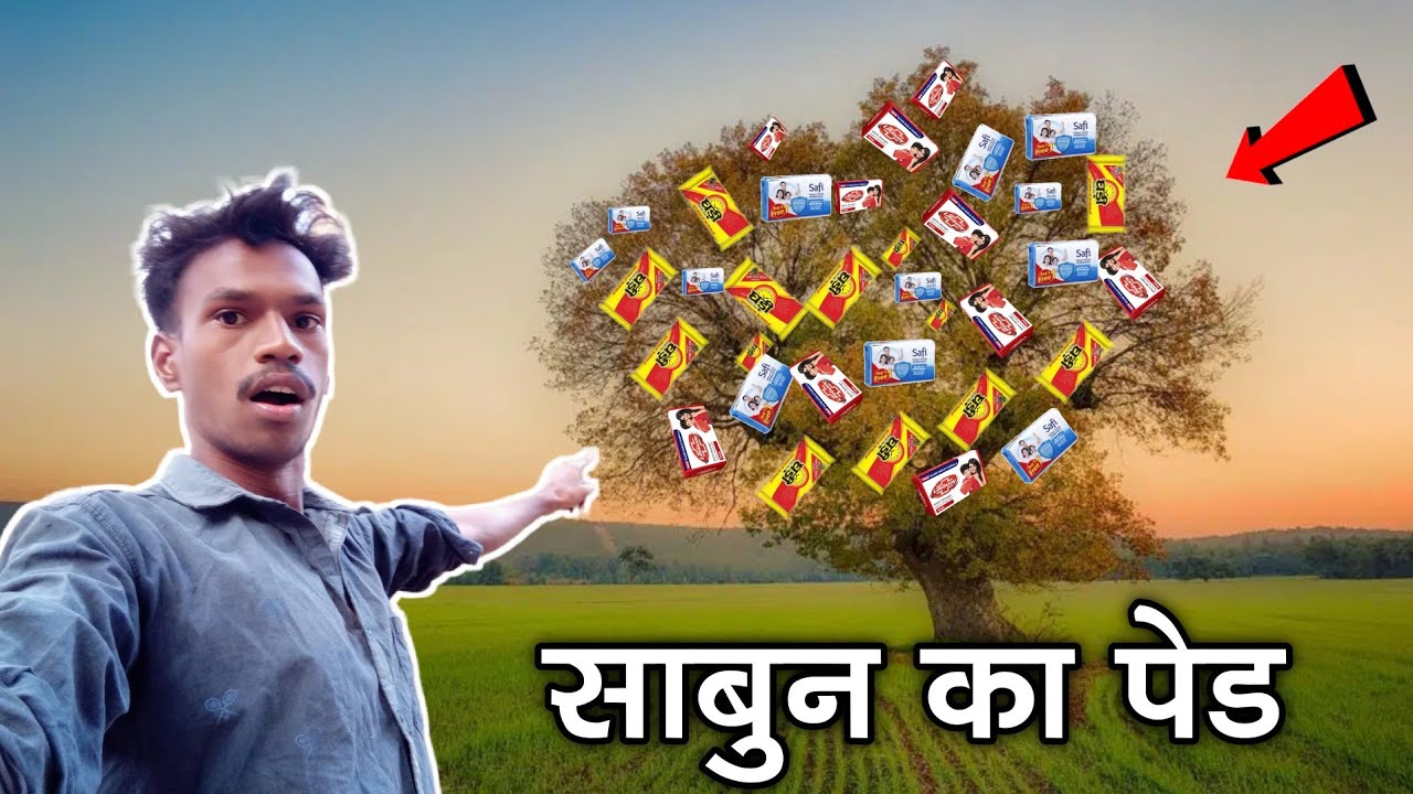 sabun tree 🌲 my village with | sabun fruit | desi local jungle fruit ...