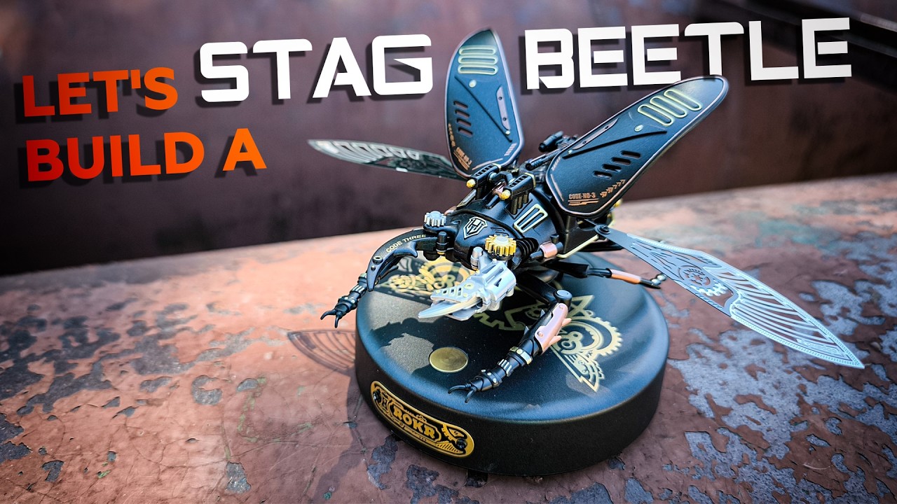 Let's Build STORM BEETLE Electronic Model | Speed Build & Review | ROKR ...