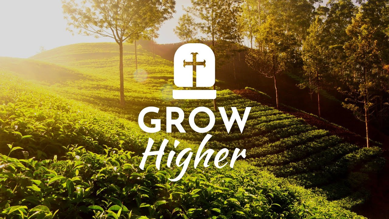 Grow Higher (Colossians 1:15-23) - YouTube