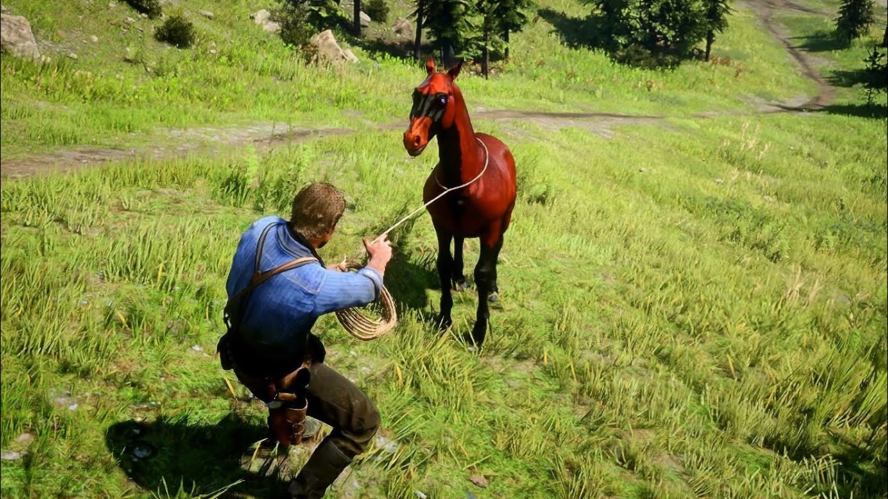 ARTHUR CATCH A BEAUTIFUL CLAVER HORSE - RDR2 | GAMEPLAY - YouTube