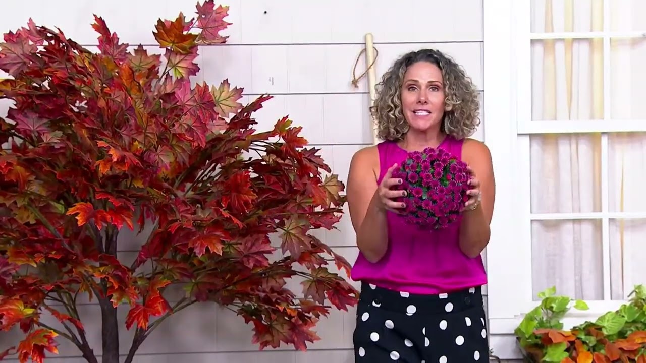 Wicker Park Set of (2) 10" or 12" Faux Mum Garden Spheres on QVC - YouTube