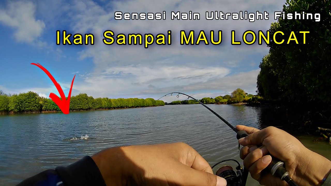 Siapa SANGKA ..!!! Bisa Straik IKAN BARAKUDA DI SPOT SEPERTI INI ...