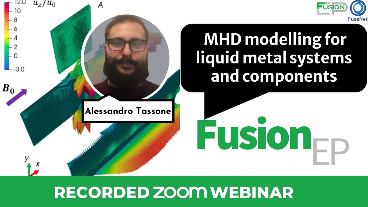 Magnetohydrodynamic modelling for liquid metal systems and components ...