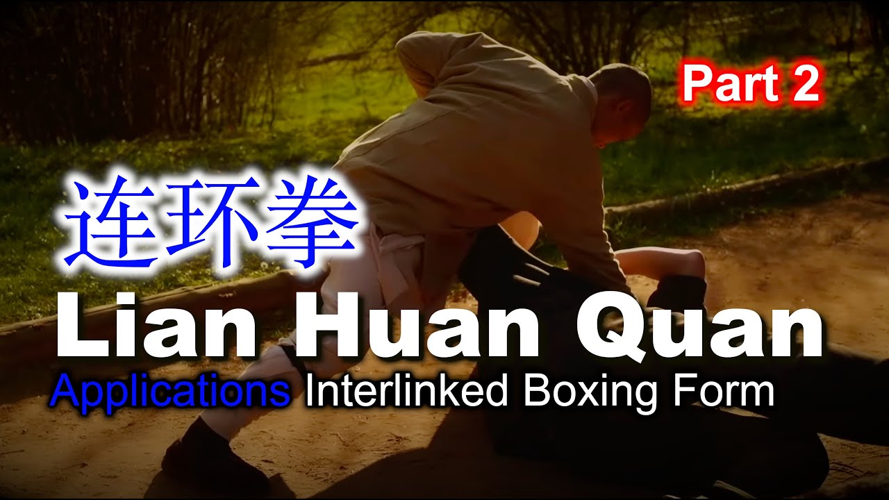 连环拳 · Lian Huan Quan 🔗 Interlinked Boxing Form 🔗 Applications · Part 2 ...