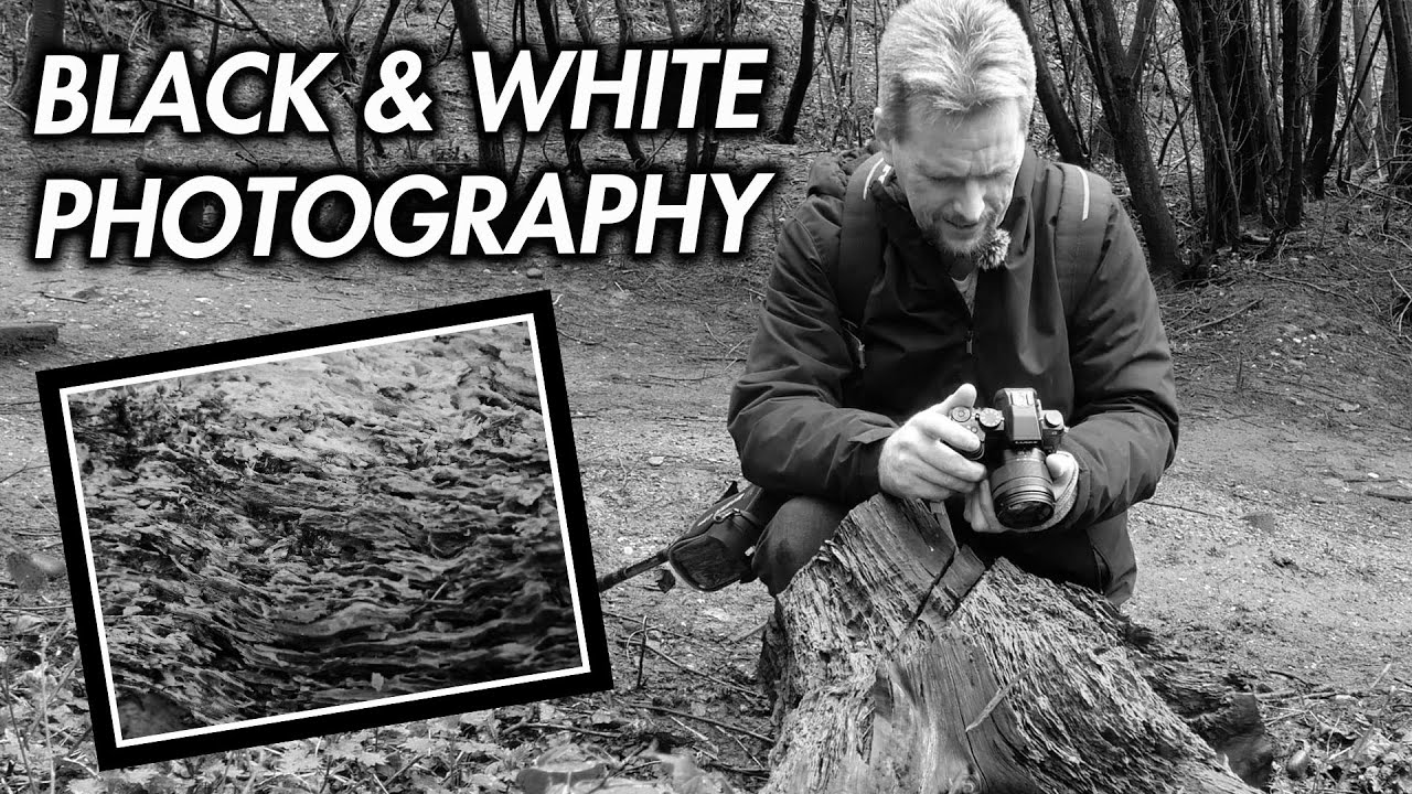 Trying JUST Black & White /Mono Photography at Nature Reserve Using ...
