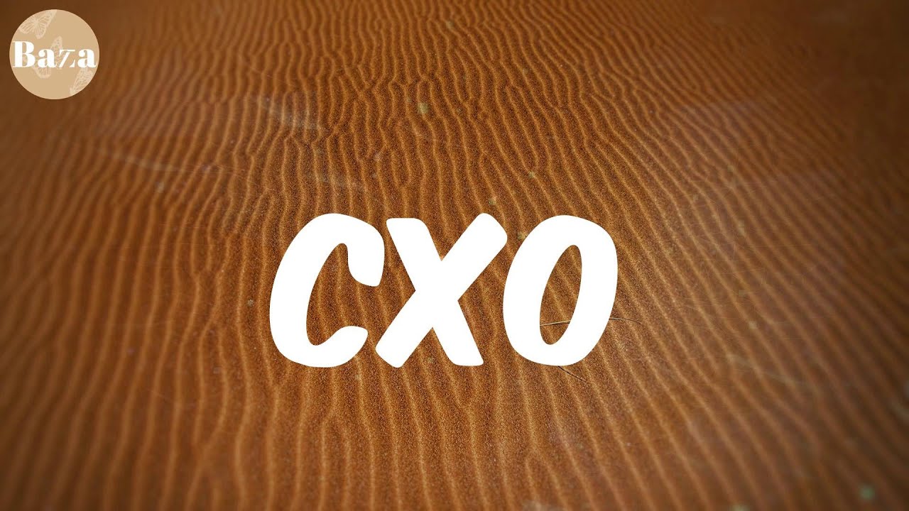 cxo-a-qui-n-no-le-gusta-letra-lyrics-lenny-tav-rez-youtube