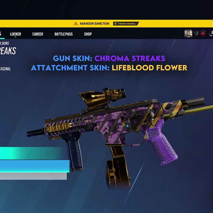 Best Universal Weapon Skin Combos In R6 (All on the R6 Marketplace) #r6marketplace # ...