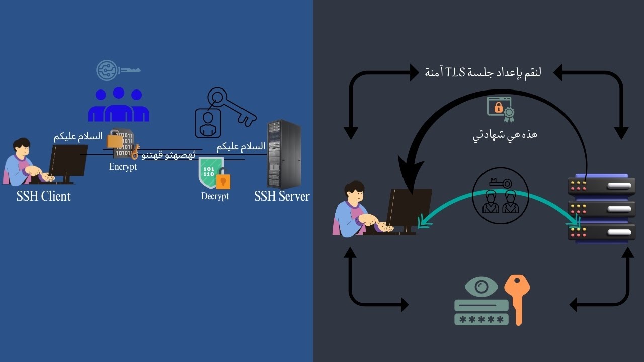 بروتوكولات SSL/TLS وSSH وTelnet | الفرق بين الأمان والتشفير في الشبكات - YouTube