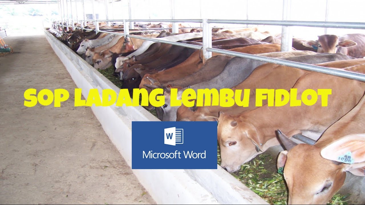 SOP Ladang Lembu Fidlot| Business plan| Contoh SOP| Bagaimana memulakan ...