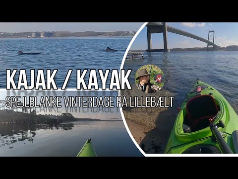 Vinter Kajaktur med spejlblank hav og marsvin / Kayak winter trip and ...