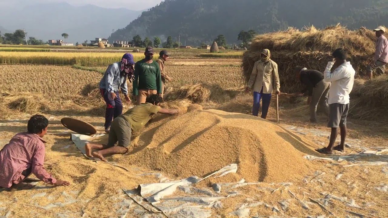 November 4, 2019 - YouTube