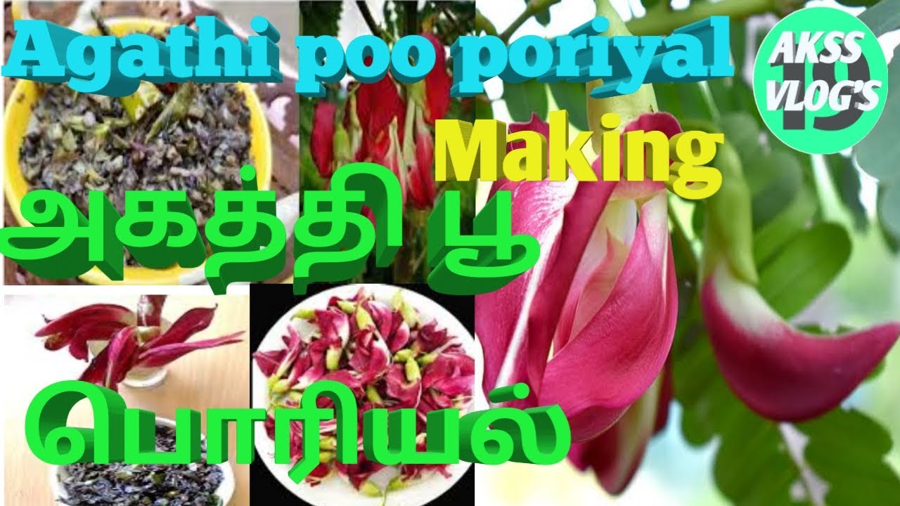 How to make Agathi poo poriyal, அகத்தி பூ தோரன்,#AKSSVLOG'S19 - YouTube