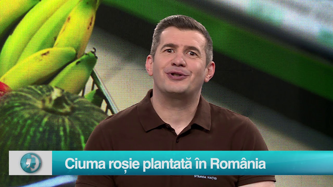 Ciuma roșie plantată în România - YouTube