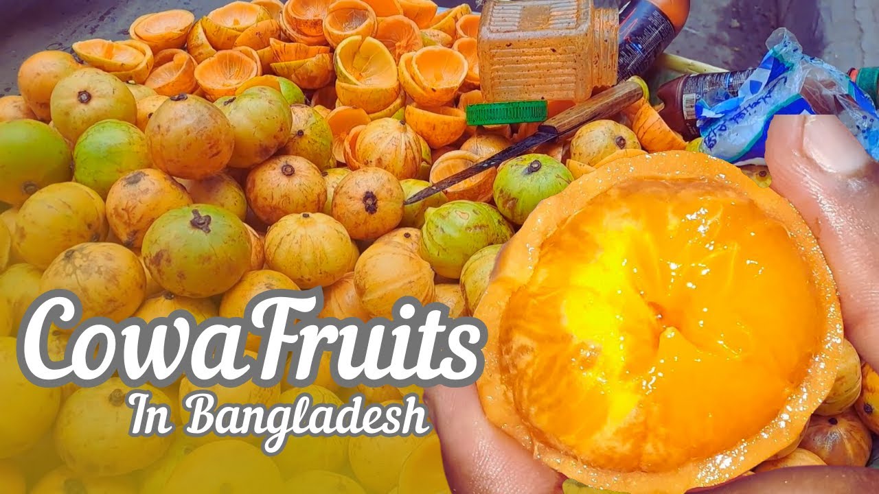 কাউ বা কাউফল মাখা | Cowa-Fruit Street Food In Bangladesh # ...