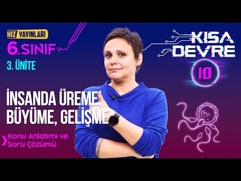 6. Sınıf Fen Bilgisi | İnsanda Üreme, Büyüme ve Gelişme | Hız Akademi | 2025 - 2026