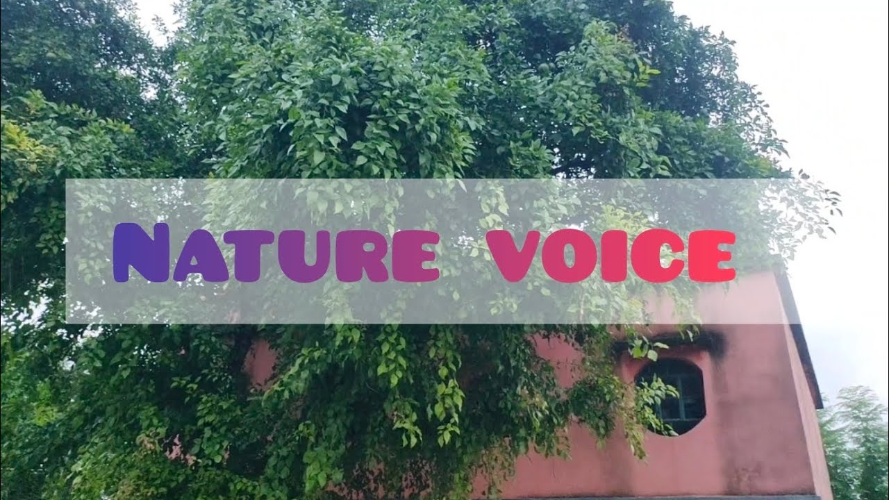 nature voice, motivation voice, meditation voice, original nature sound ...
