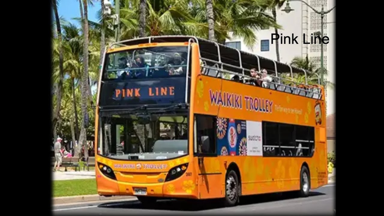 Pink Line Oahu's Ultimate Shopping Trip | Waikiki Trolley | Riding the ...