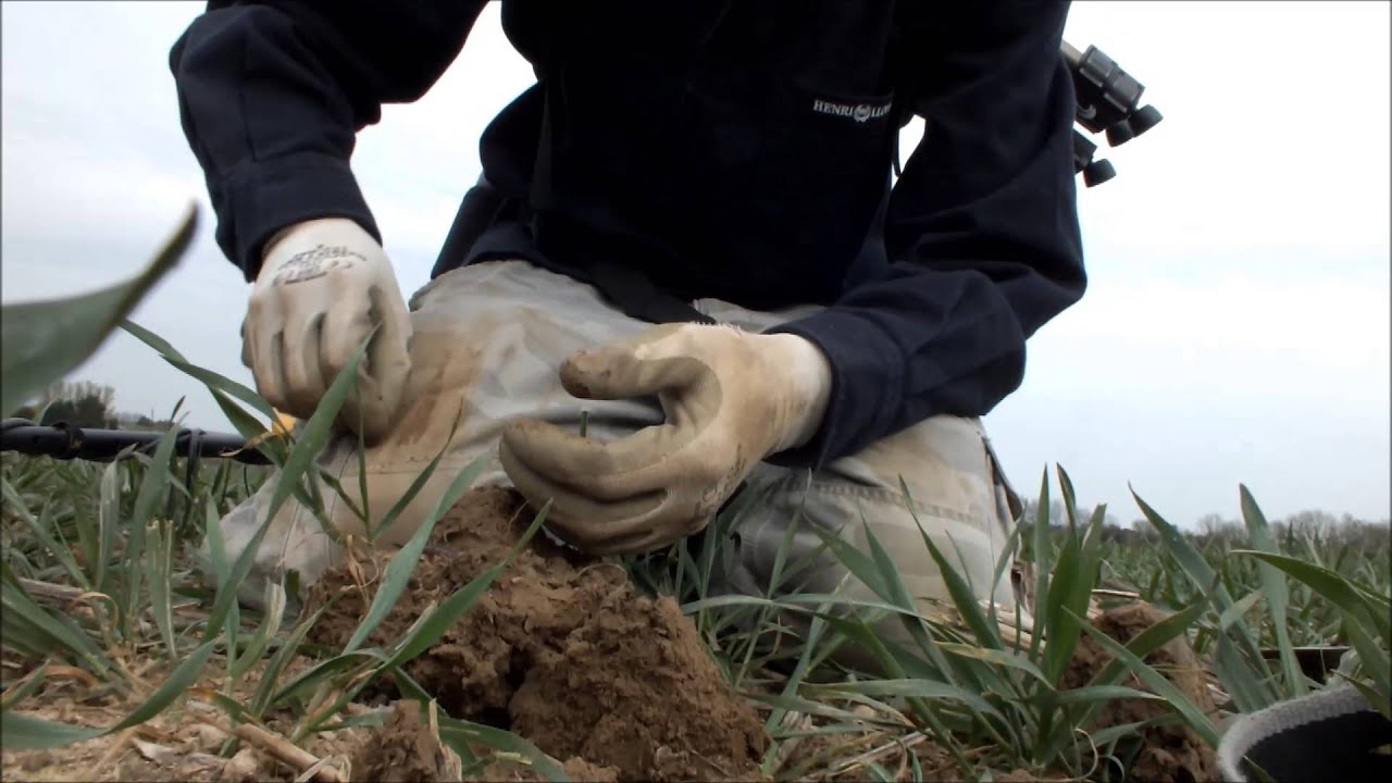 metal detecting long dig 10 hours - YouTube