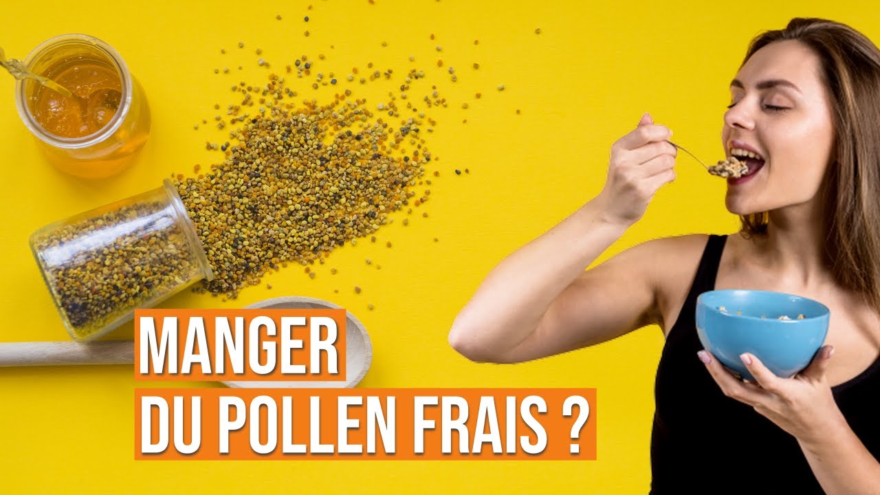Pourquoi consommer du pollen frais ? | Un aliment riche en protéines ...