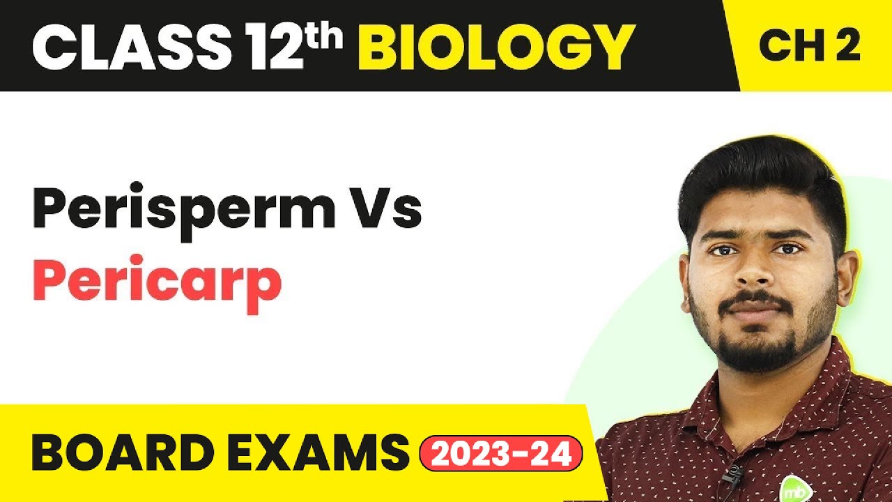 Perisperm Vs Pericarp - Sexual Reproduction in Flowering Plants | Class ...