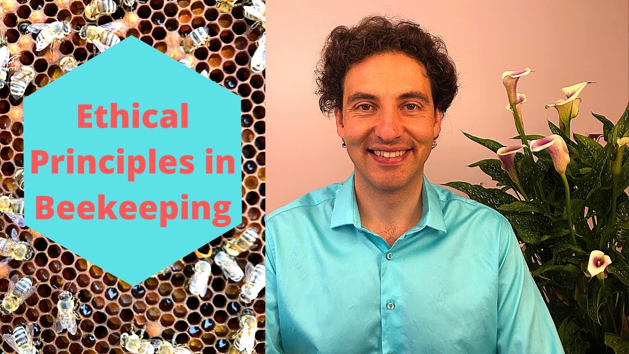 Happy-Culture Apitherapy: Ethical Principles for Legitimate Beekeeping ...