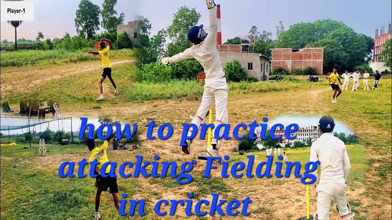 How to practice attacking Fielding in cricket 🏏 🤩#cricket #fastbowling ...