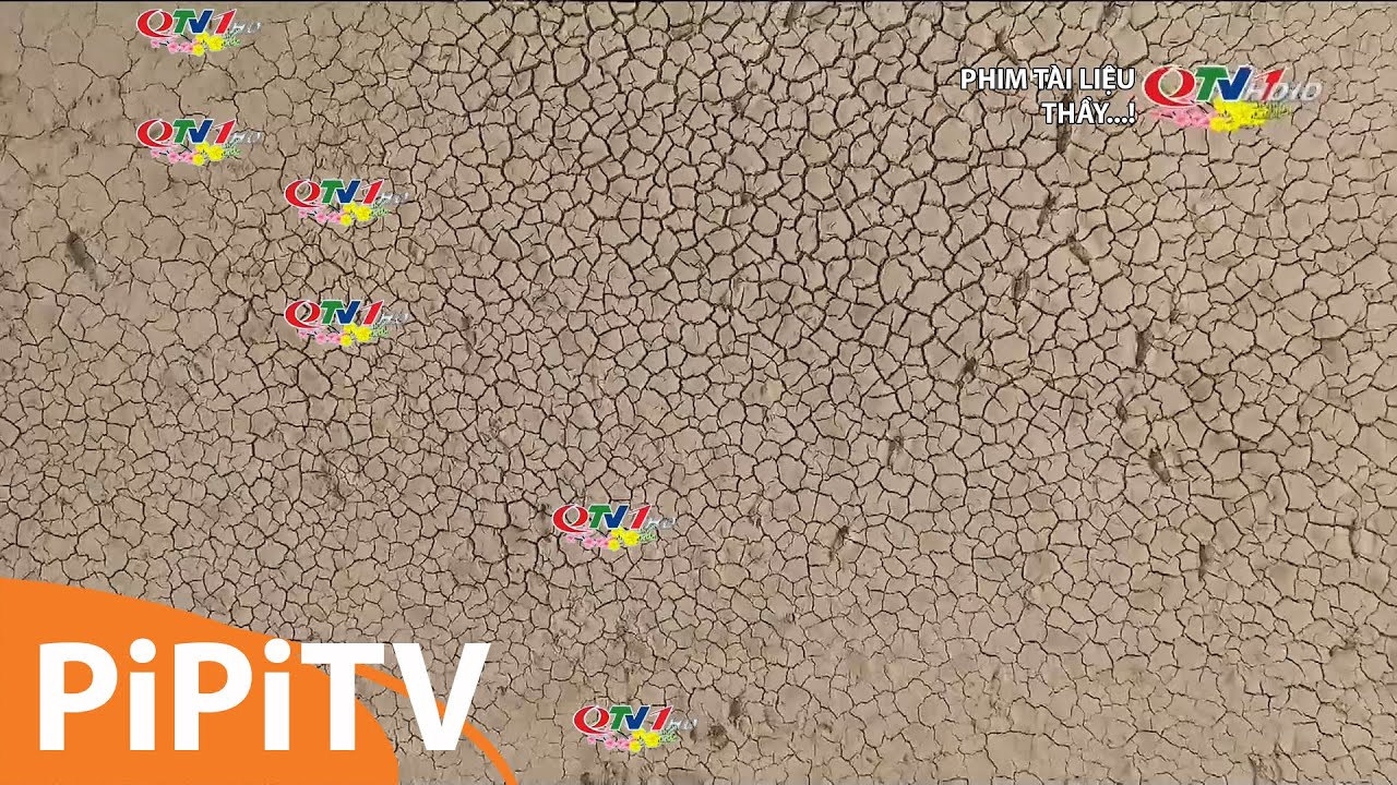 Khoảnh khắc kênh QTV1 Quảng Ninh tách sóng sau chương trình Tết 25/01 ...