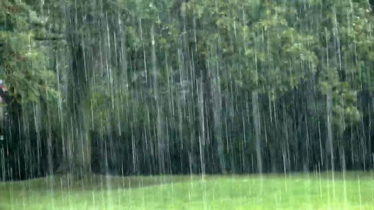 Rain Video, Rain Sound for Sleeping, Rainforest, Heavy Rain Sound, Calm ...