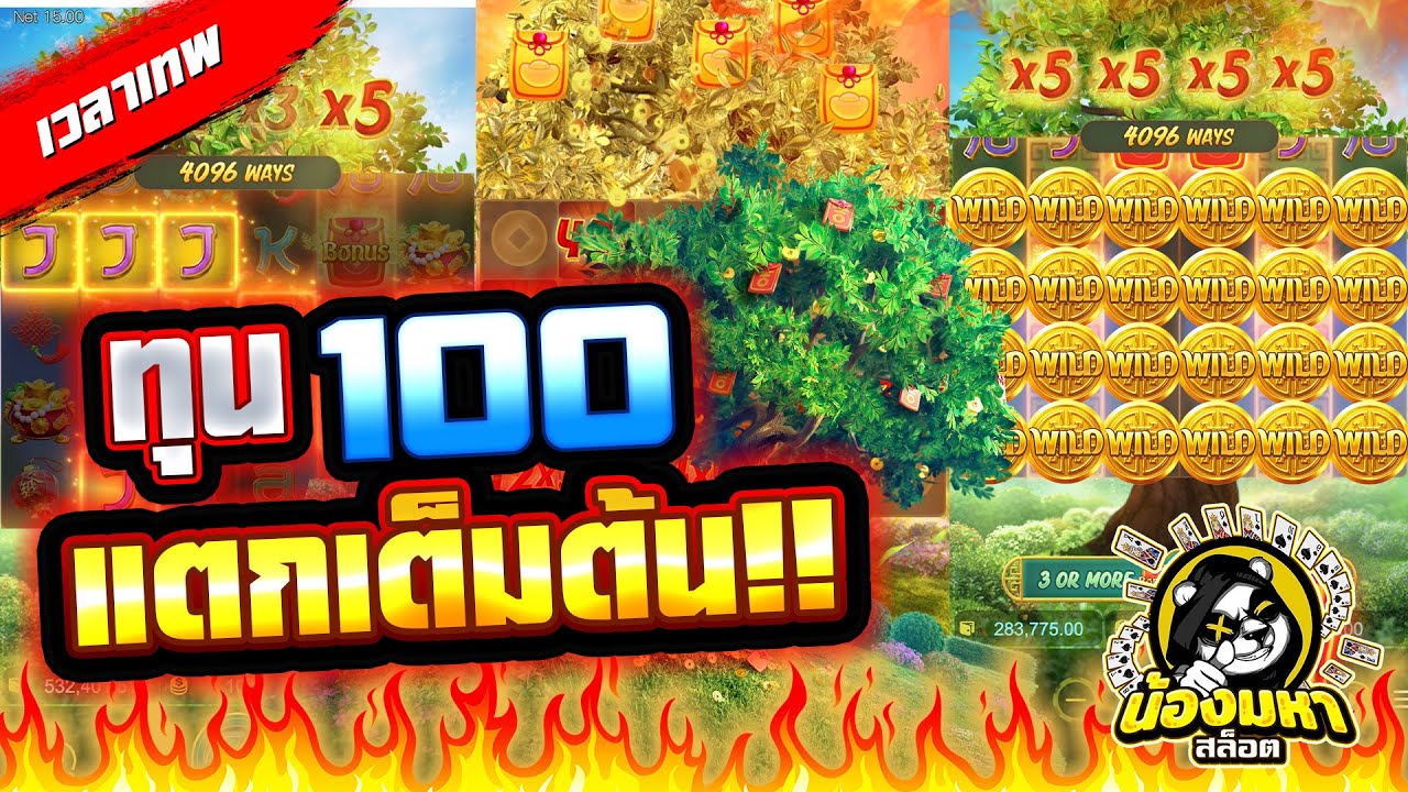 Prosperity Fortune Tree : สล็อตPG ทุน100แตกเต็มต้น - YouTube
