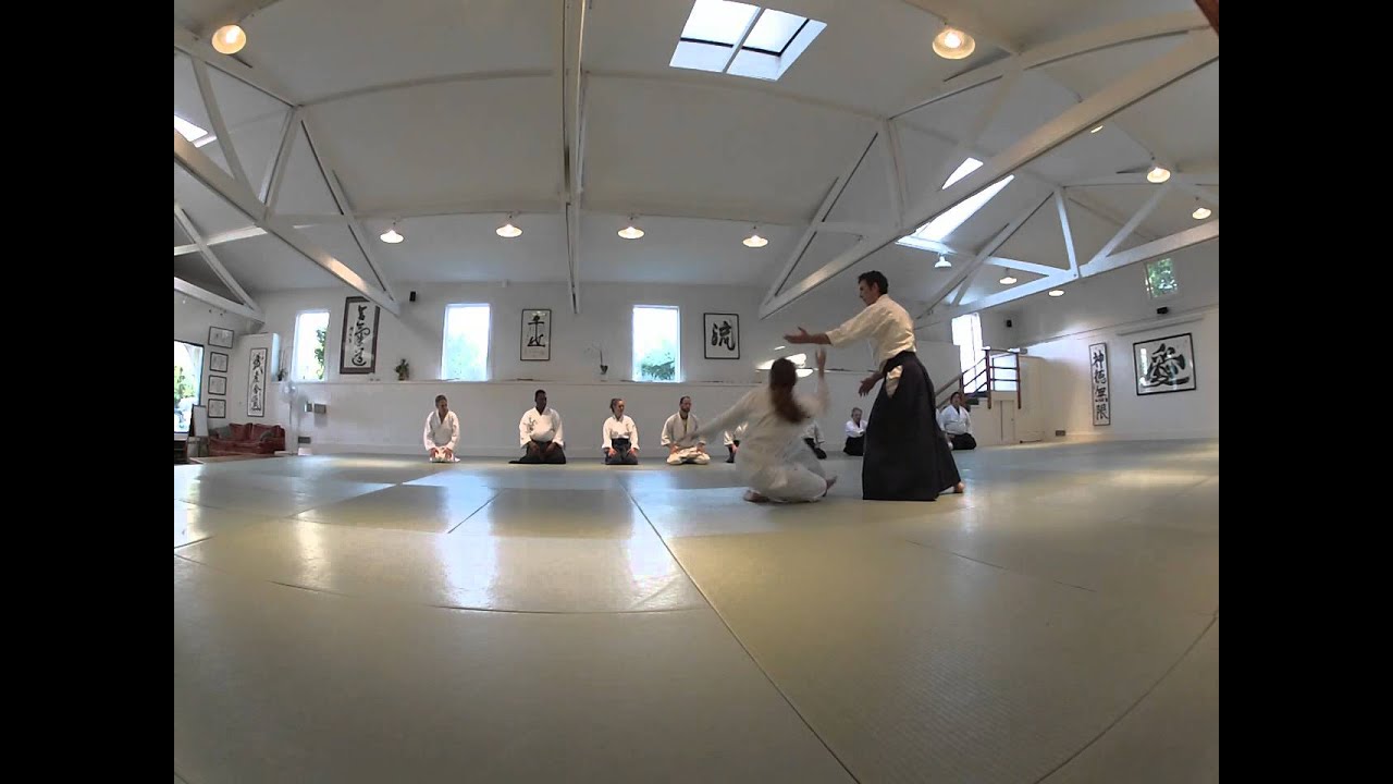 Brian's General Training Class -- Irimi Tenkan -- Aikido of Tamalpais Part 1 - YouTube