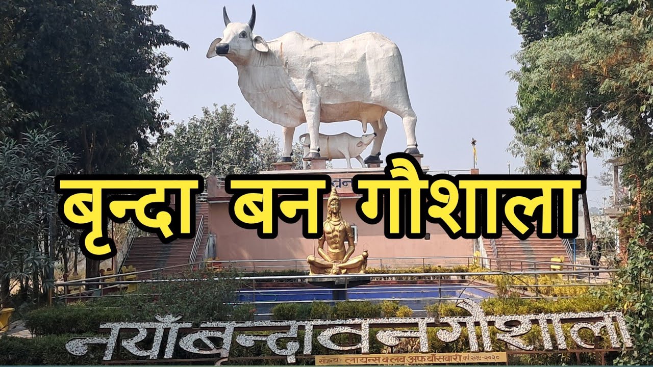 नेपालकै प्रसिद्ध बृन्दा बन गौशाला | Gaushala Tour Video | Religious ...