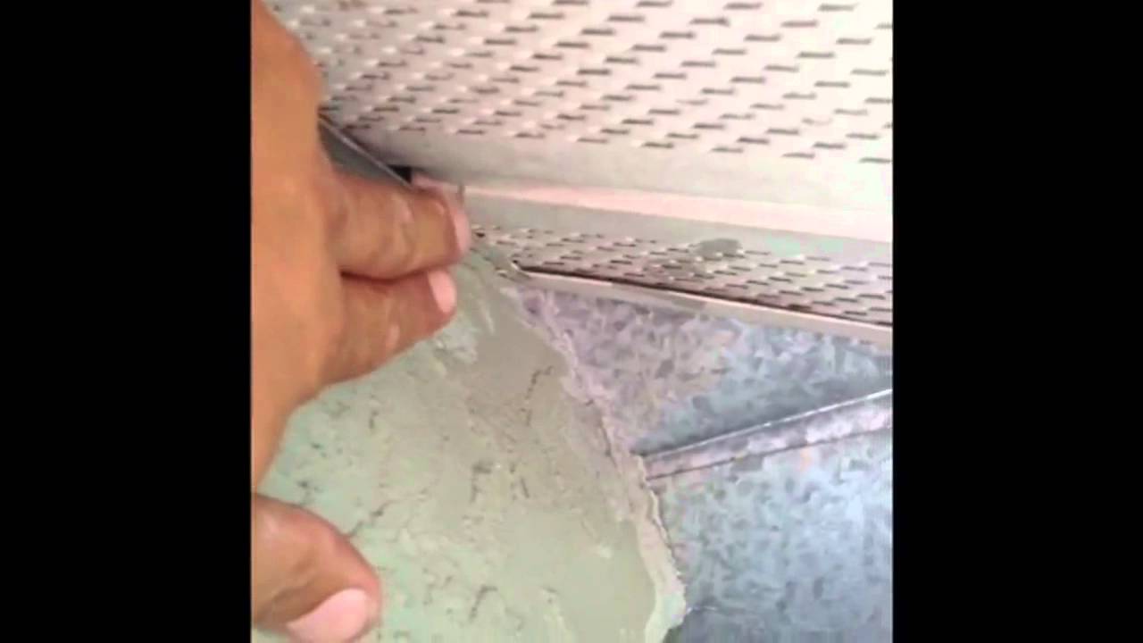 Tampa Rodent Proofing For Rats @ Roof line - YouTube