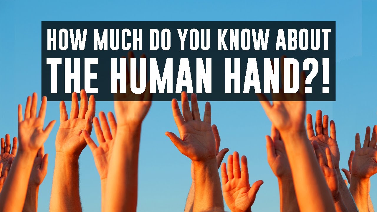 The human hand: Amazing facts! - YouTube