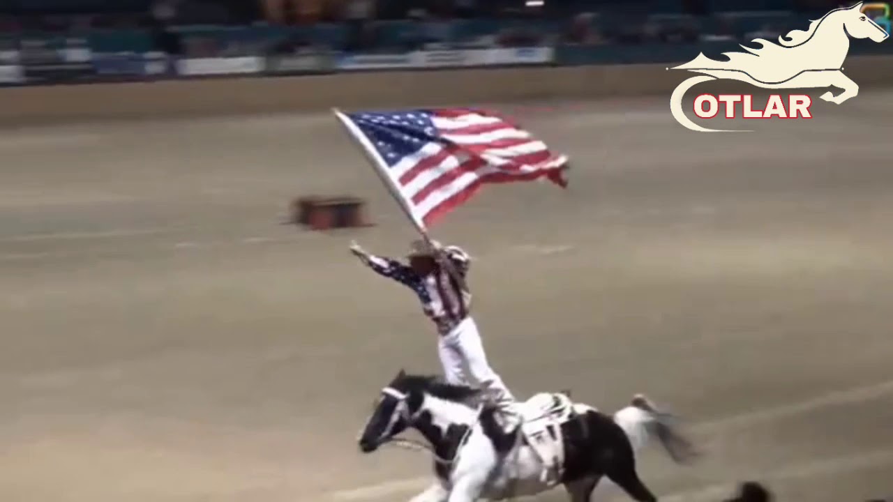 Aqlli otlar. Otlar haqida. #Otlar #horse - YouTube