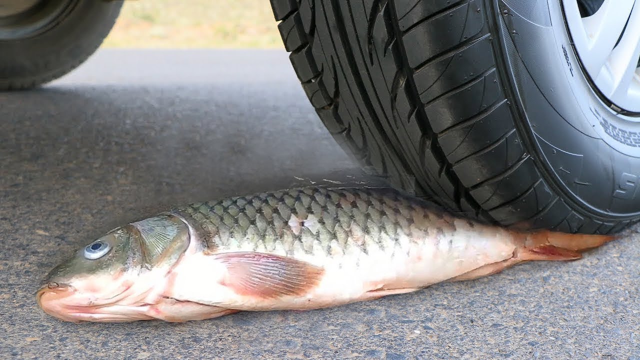 Creative Cutting Fish -Processing Line Cleaning Machine Fish #3 - YouTube