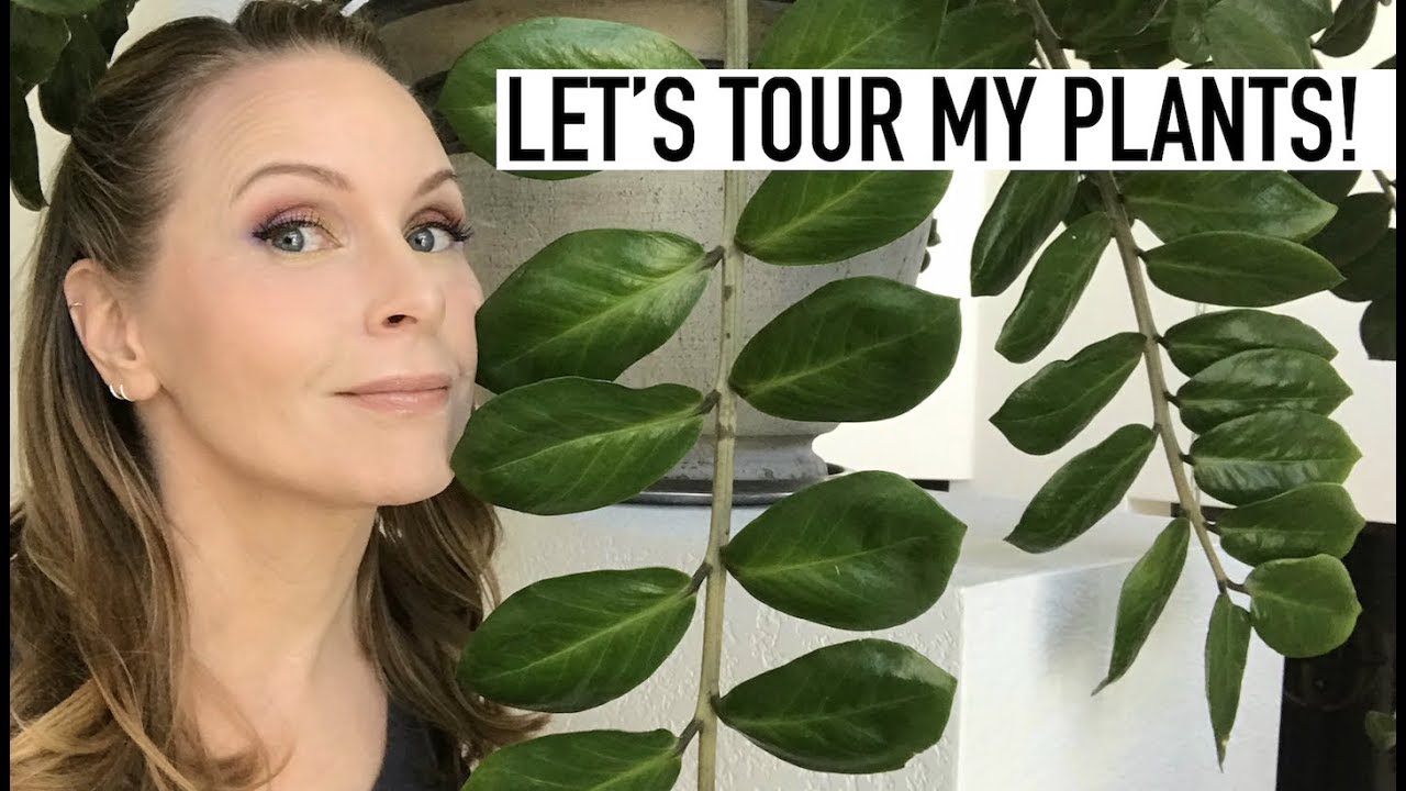 HOUSE PLANT TOUR 2019 | Design Time - YouTube