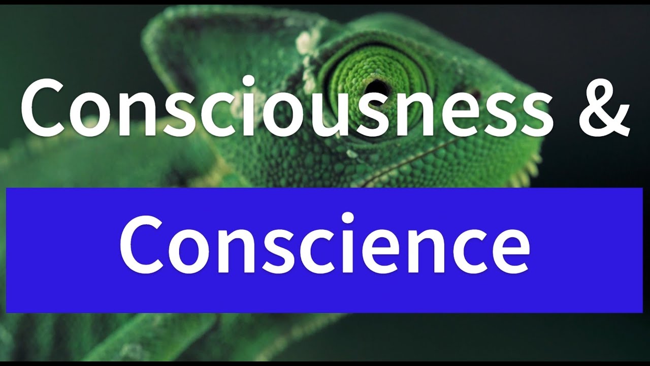 How did Consciousness and Conscience Develop? Hans Jonas, The ...