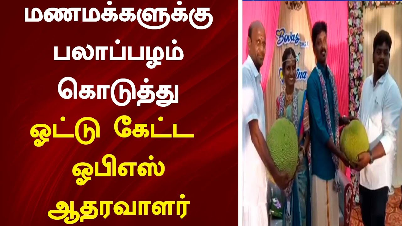 மணமக்களுக்கு பலாப்பழம் கொடுத்து ஓட்டு கேட்ட ஓபிஎஸ் ஆதரவாளர் | O ...