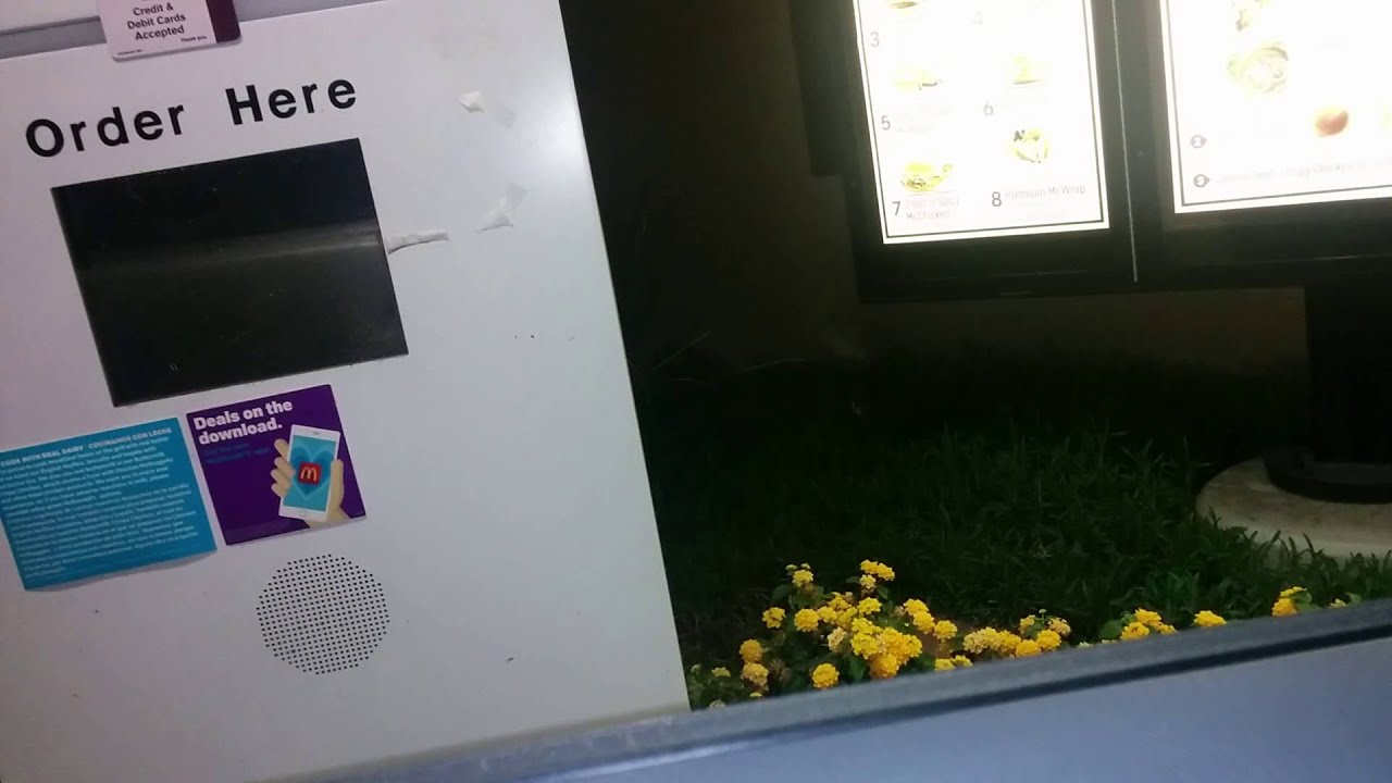 McDonald's Drive-thru Stuck on Infinite Loop - YouTube