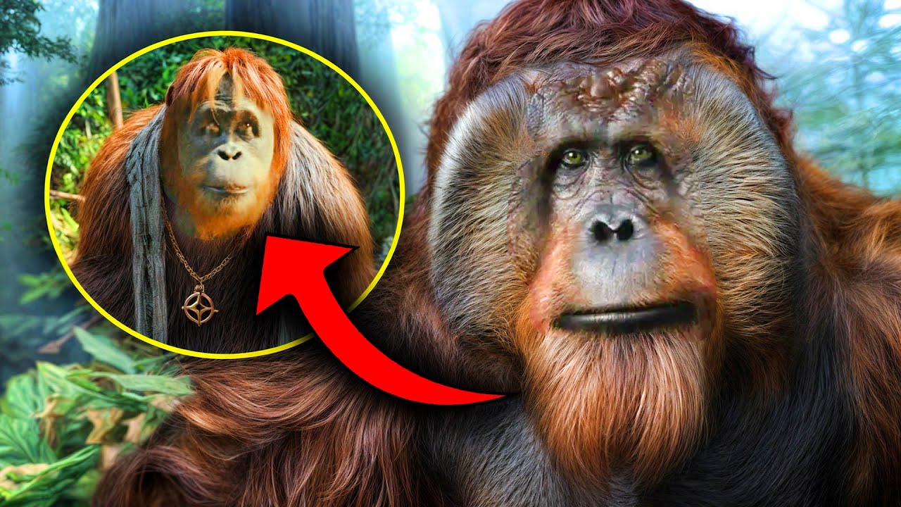 The Sad Story of Maurice and his Connection to the Kingdom of the ...