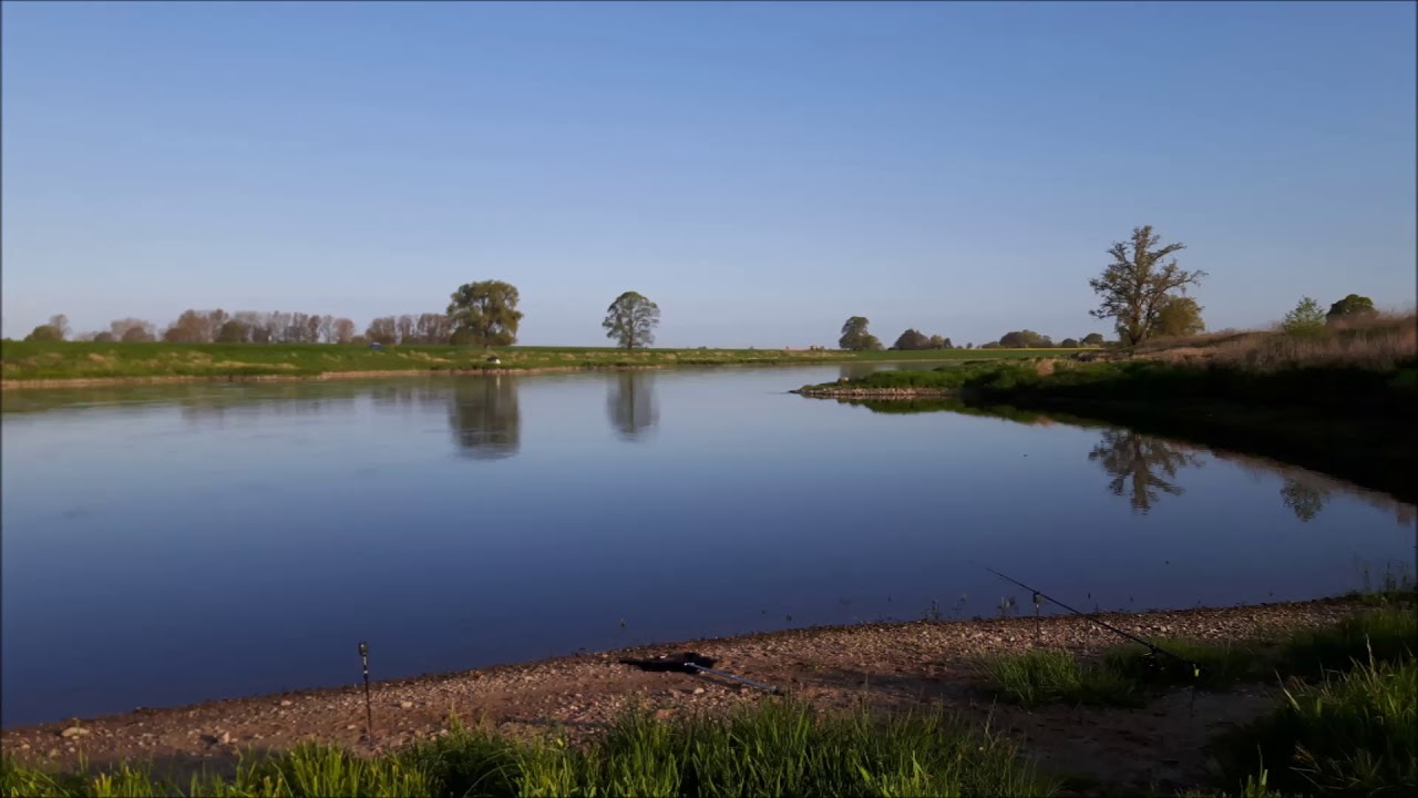 Angeln Elbe 2016 - YouTube