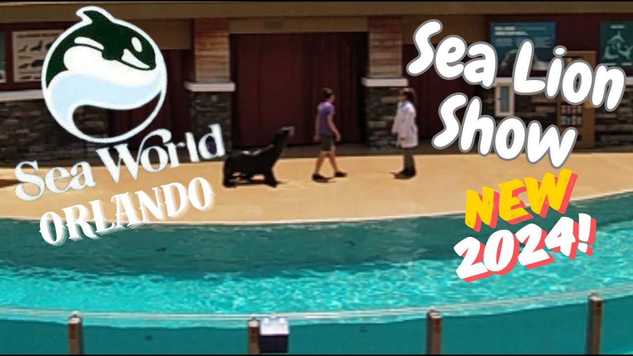 Sea Lion And Otter Spotlight All New 2024 Show Flippers Facts And Fun