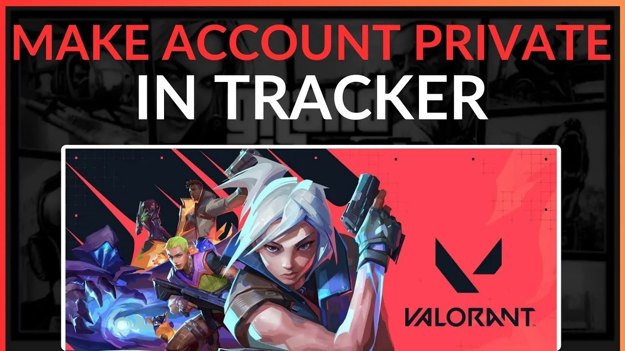 How To Make Valorant Account Private on Valorant Tracker - Full Guide ...