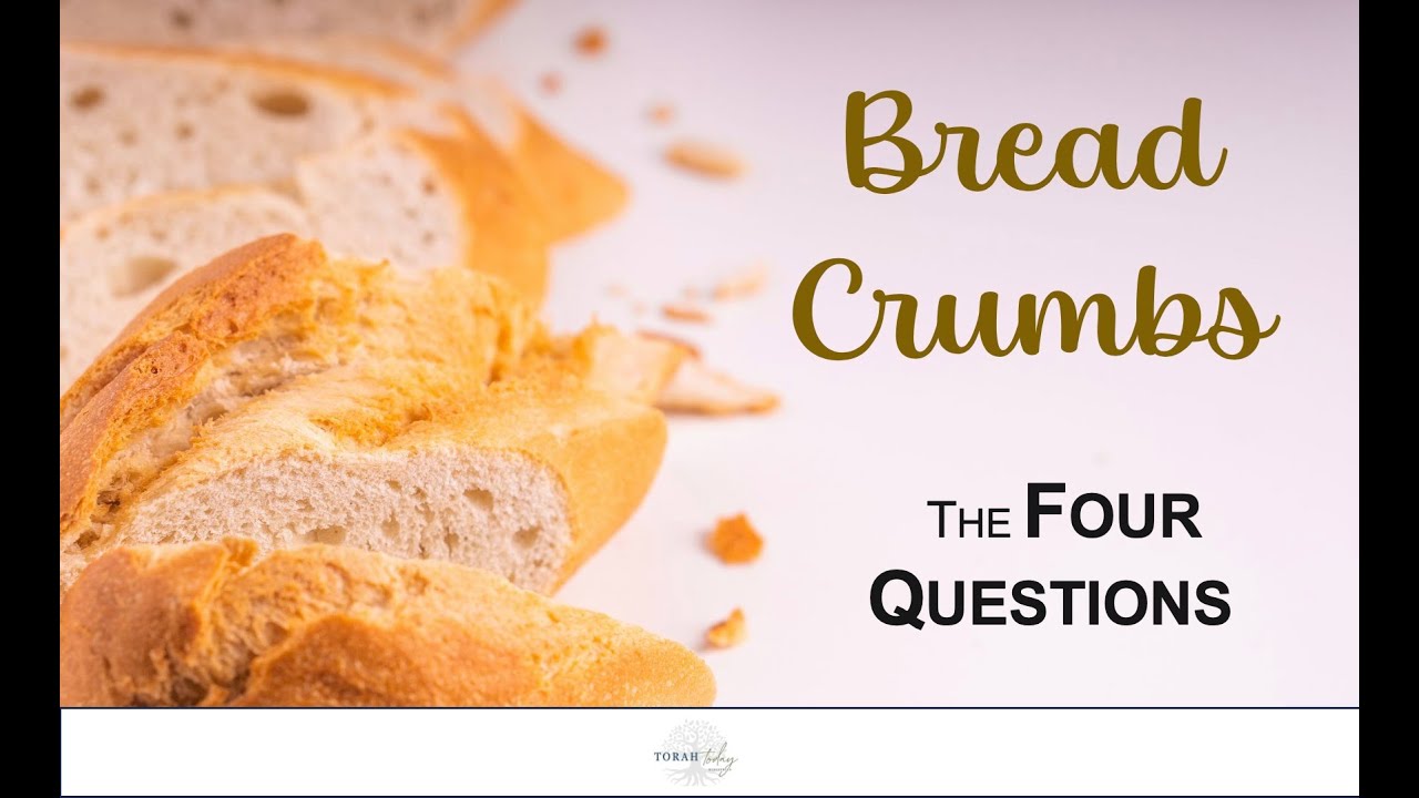 Bread Crumbs #9 - The Four Questions - YouTube