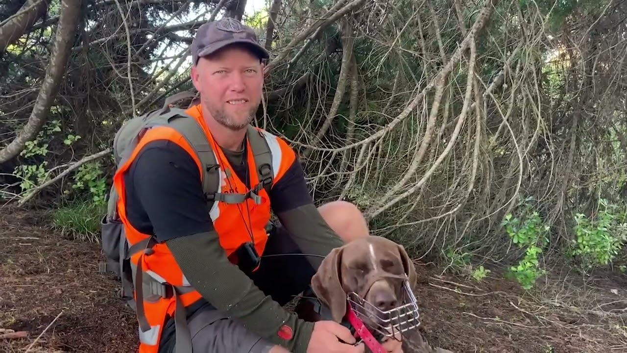 Stoat scat detection duo Brad Windust and Wero join the stoat ...
