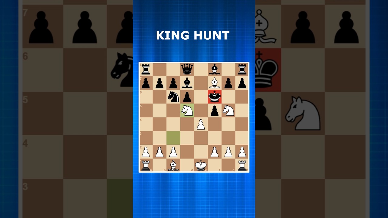 Brilliant King Hunt That Ends in Checkmate! #chess - YouTube