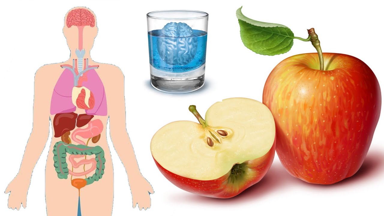 Olma Haqida Haqiqatlar // Олма Хакида хакикатлар - YouTube