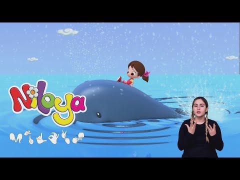 Niloya İşaret Dili - Karada Bir Balık