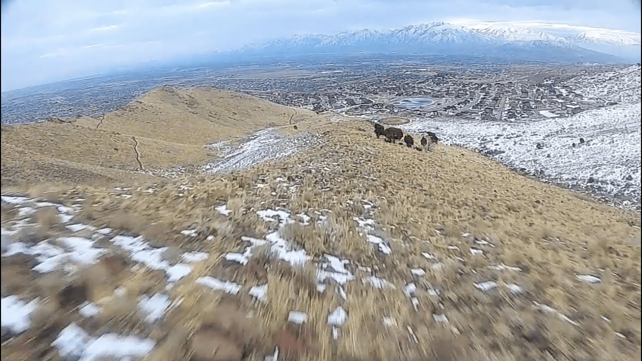 First Time Mountain Surfing FPV - YouTube